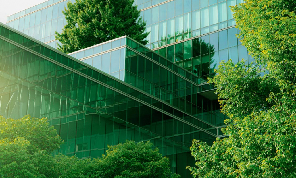 Building a Greener Future: Celebrating World Environment Day in ...